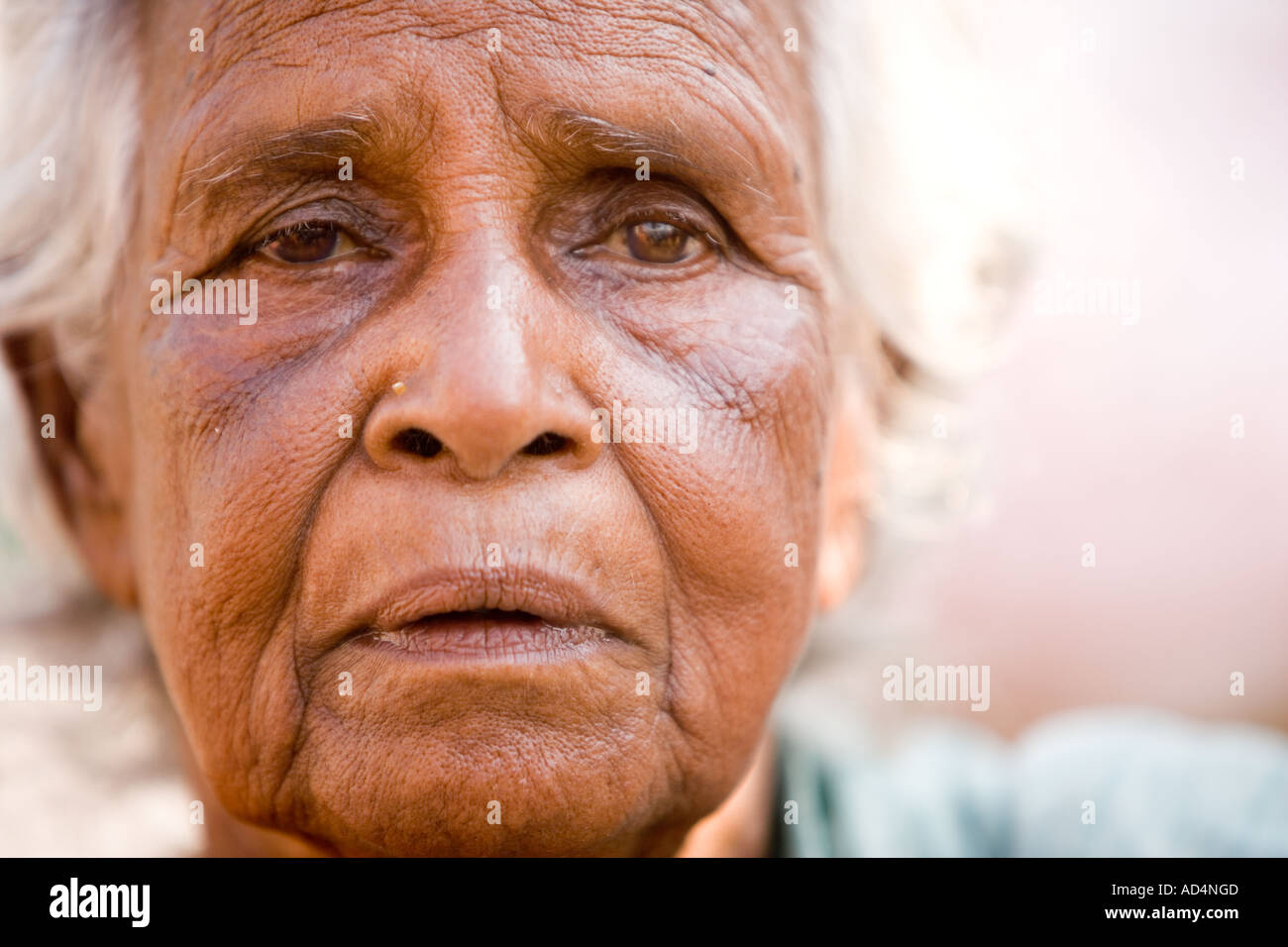 Environmental portrait of elderly Indian woman Stock Photo - Alamy