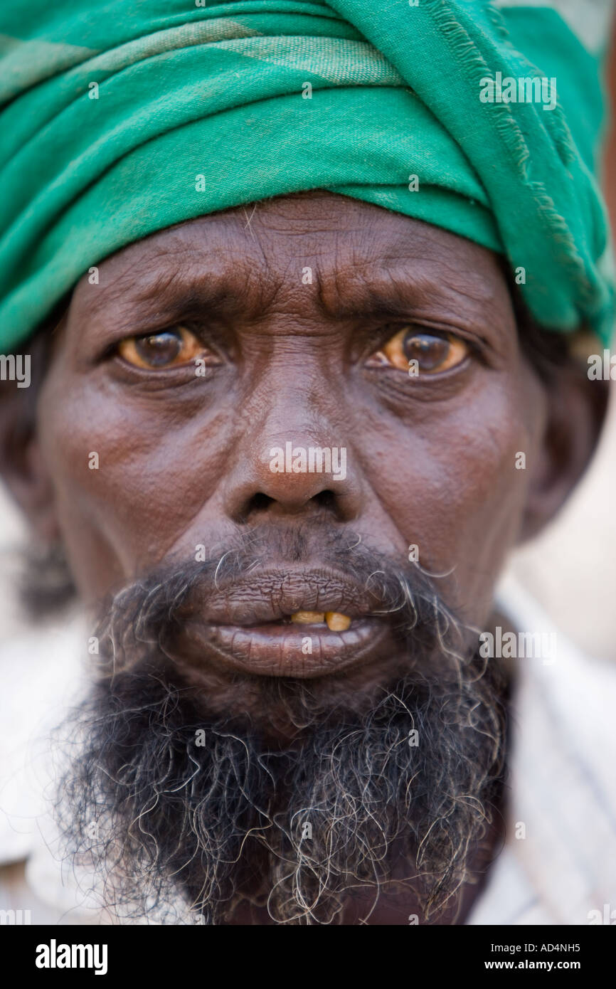 Environmental portrait of elderly Indian man Stock Photo - Alamy
