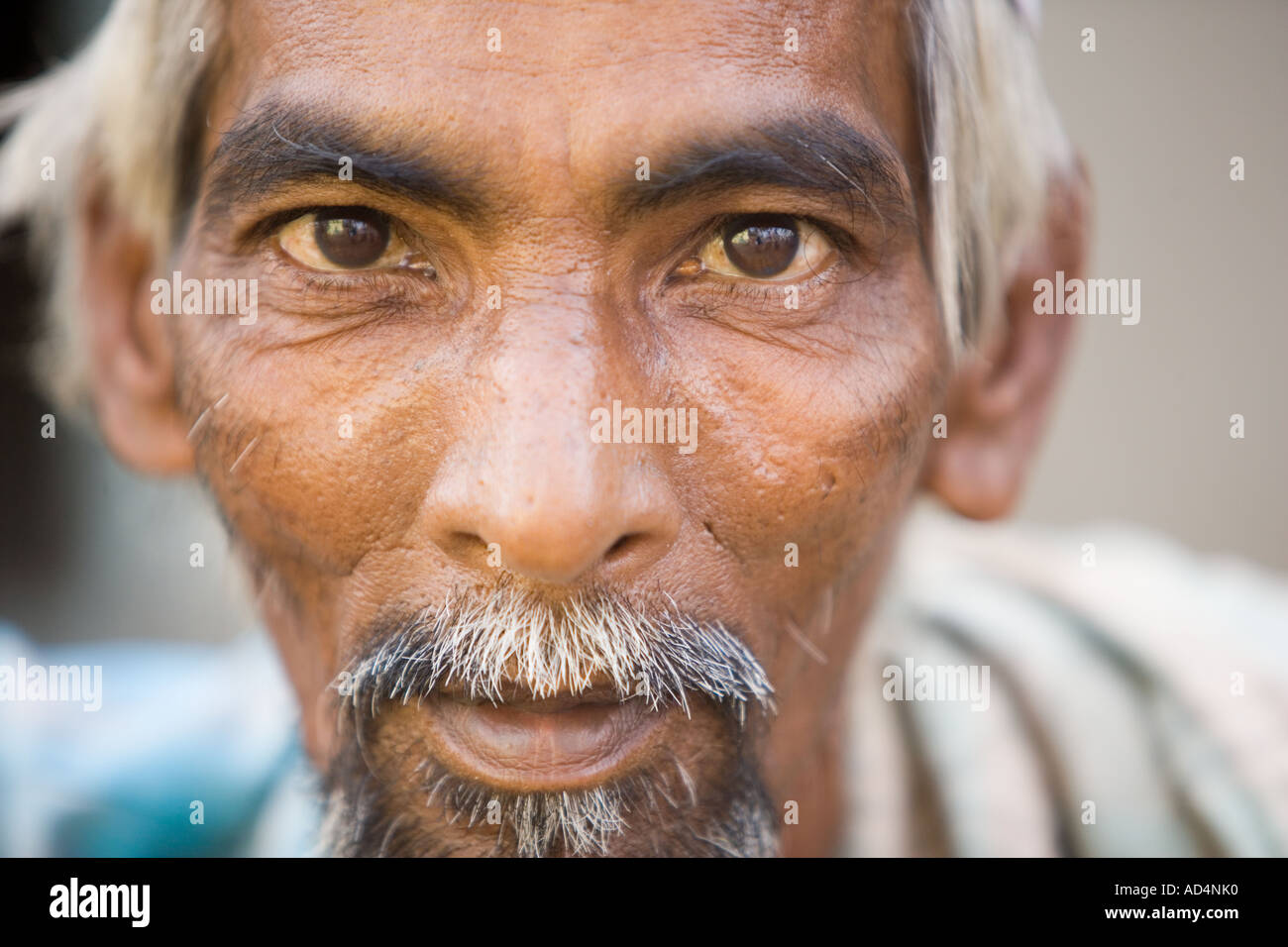 Environmental portrait of elderly Indian man Stock Photo - Alamy