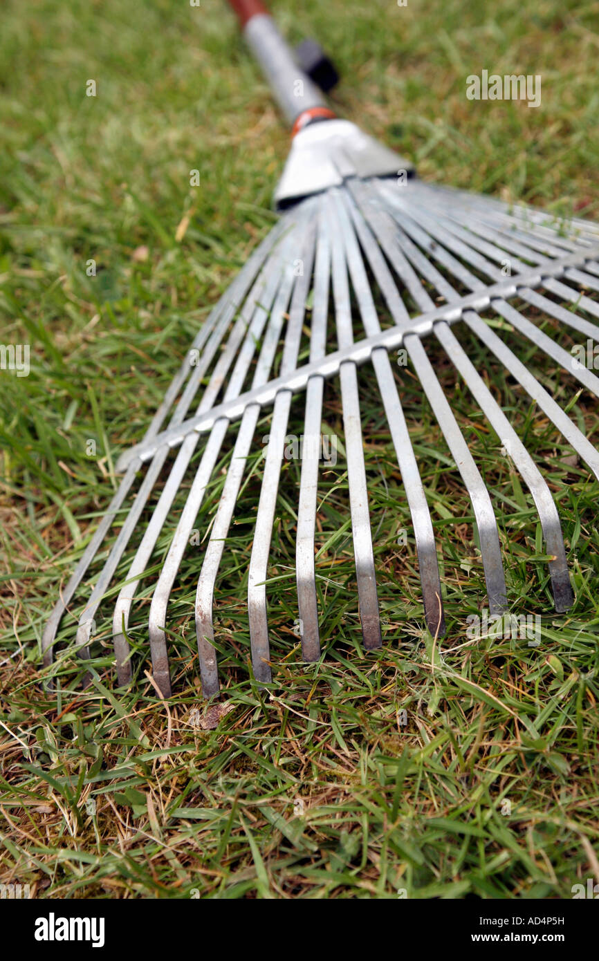 A rake on the ground Stock Photo - Alamy