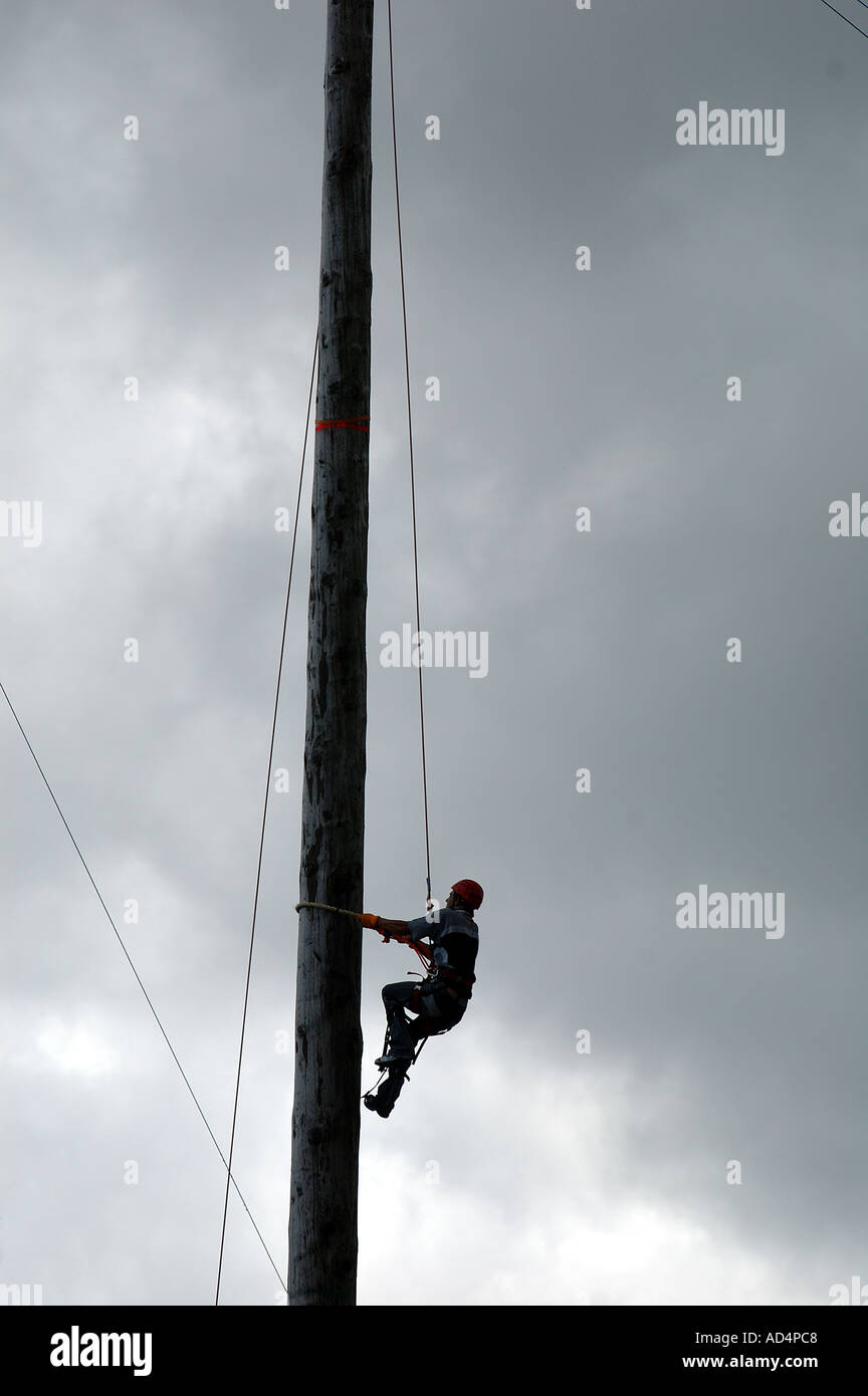 Pole climbing competition at the Royal Welsh Show 2005 Stock Photo - Alamy