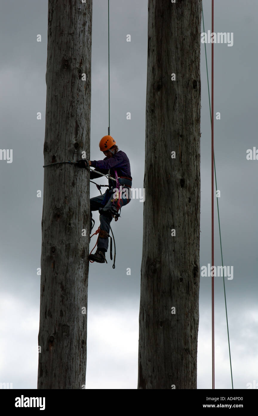 Pole climbing competition at the Royal Welsh Show 2005 Stock Photo - Alamy