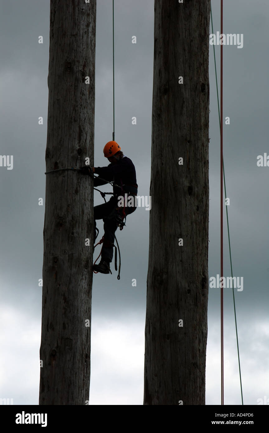 Pole climbing competition hi-res stock photography and images - Alamy