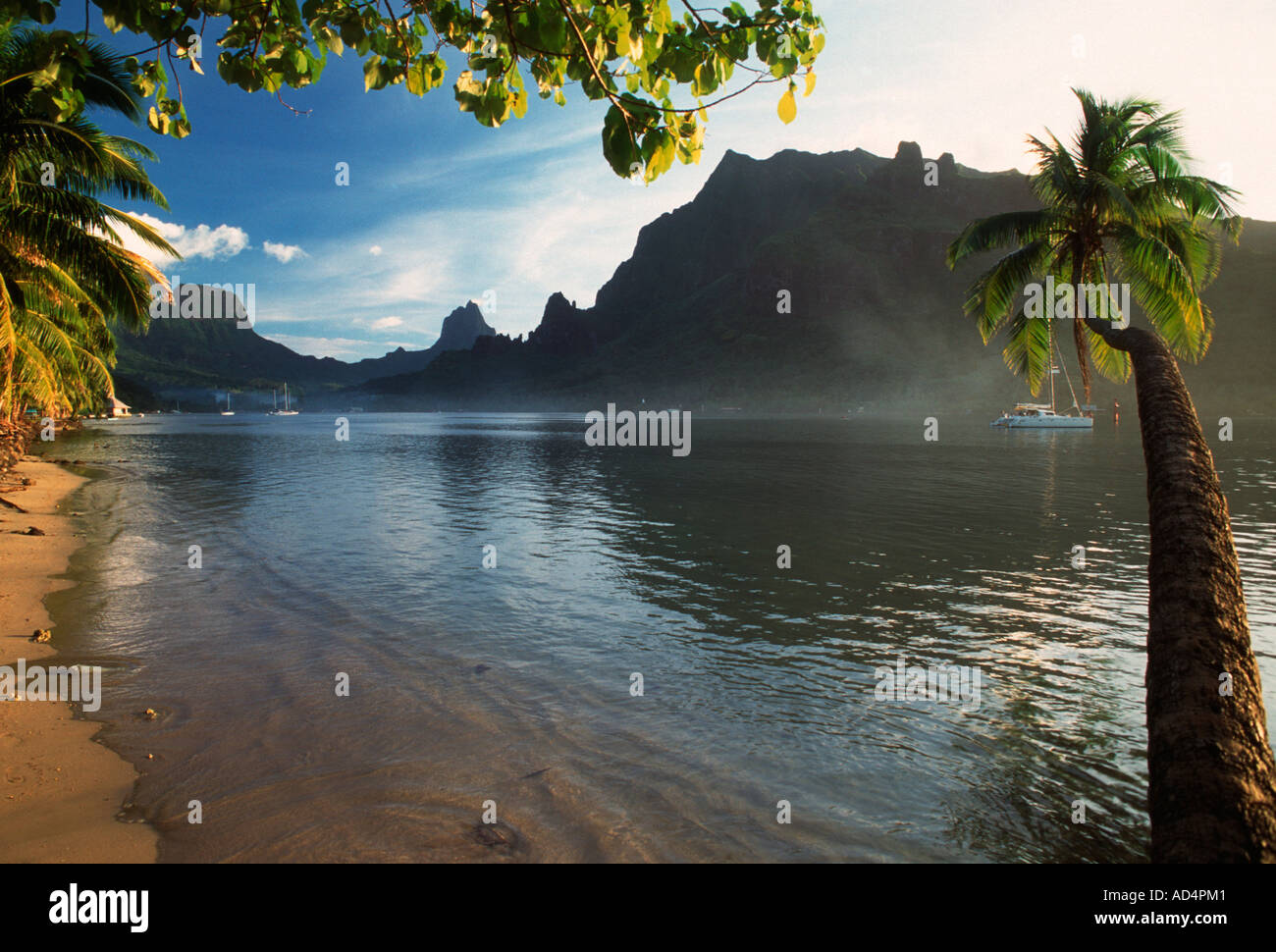 Cooks Bay Moorea French Polynesia Stock Photo - Alamy
