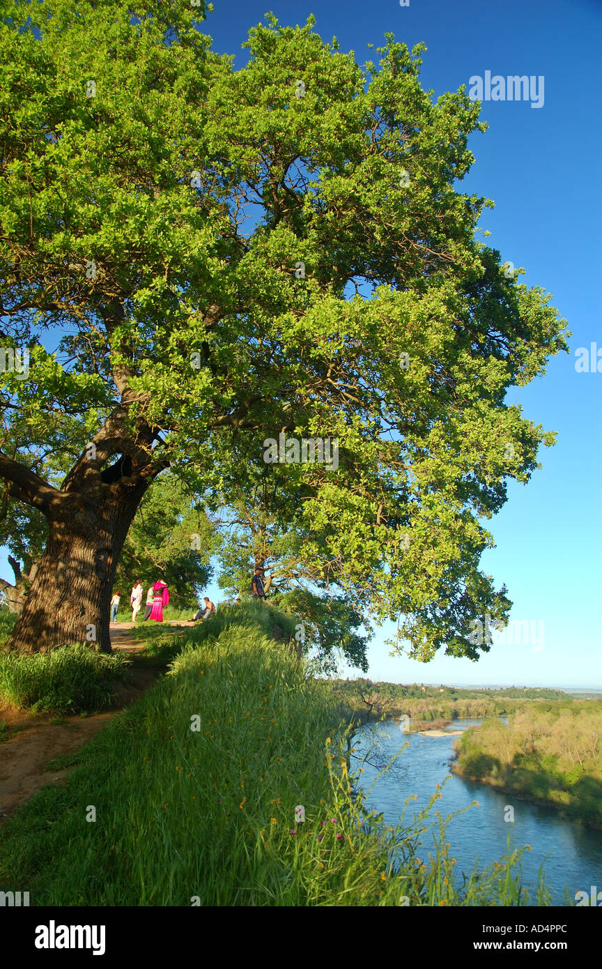 Oaks Bluff Stock Photos & Oaks Bluff Stock Images - Alamy