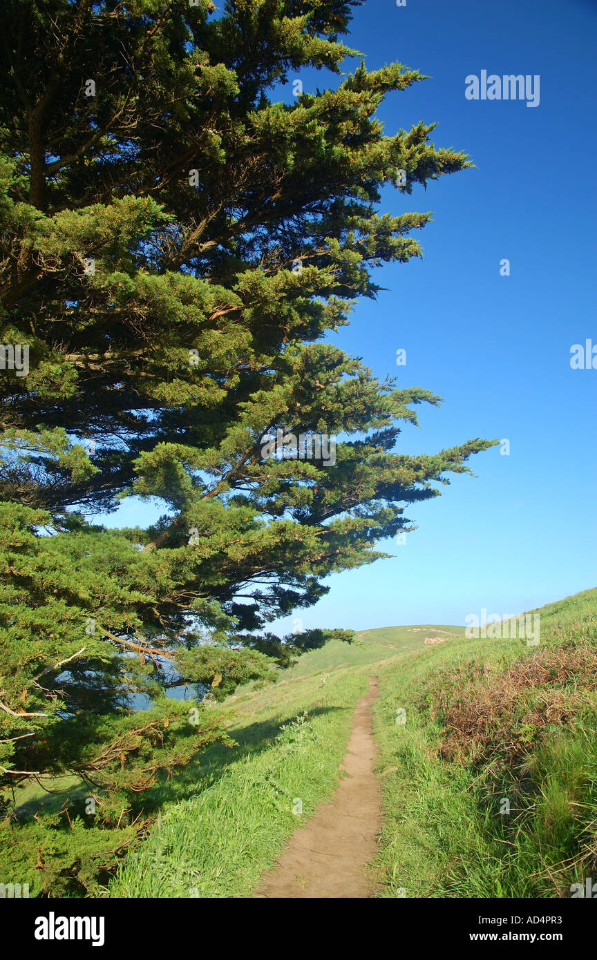 Hiking trail at Point Reyes National Seashore California Stock Photo ...
