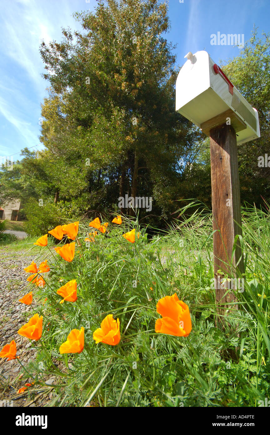 Box mailbox box tree hi-res stock photography and images - Alamy