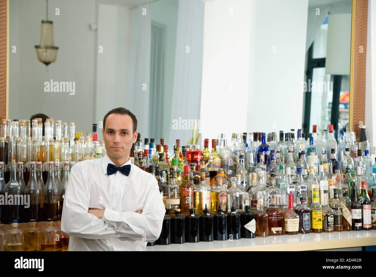 A bar tender standing at the bar Stock Photo - Alamy