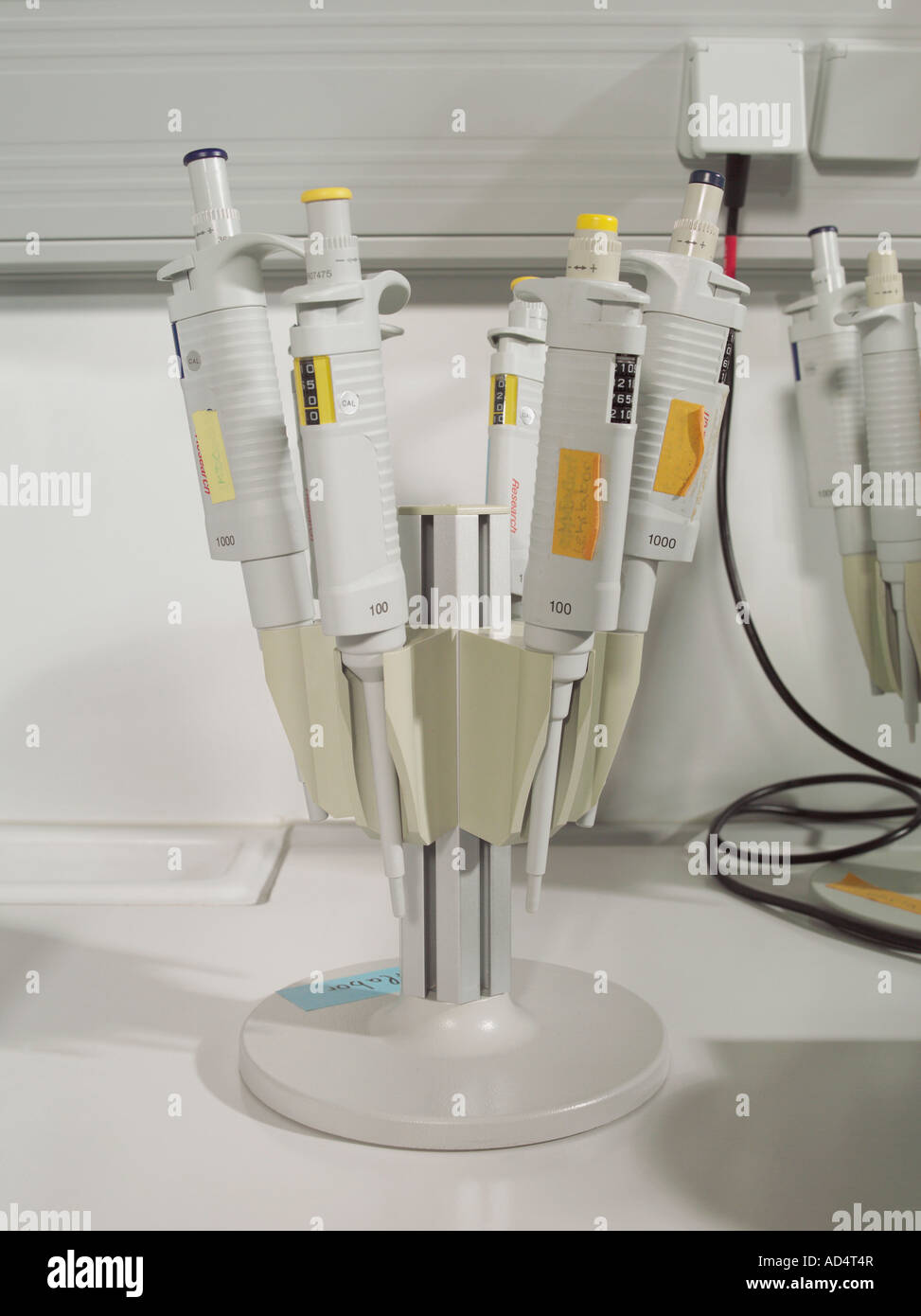 A rack of pipettes in a laboratory Stock Photo - Alamy