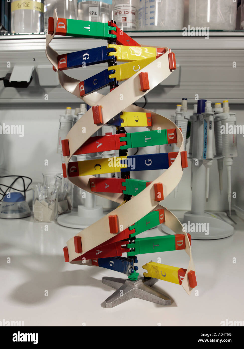 Dna model hi-res stock photography and images - Alamy