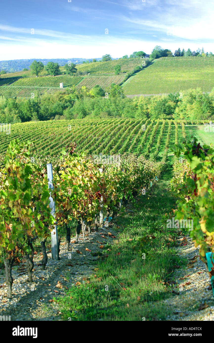 Viticultural domain hi-res stock photography and images - Alamy