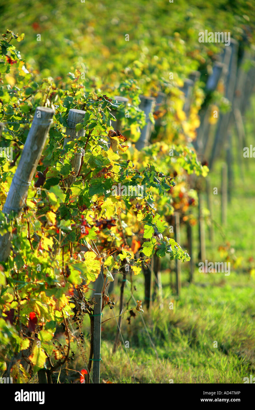 Ph077 hi-res stock photography and images - Alamy