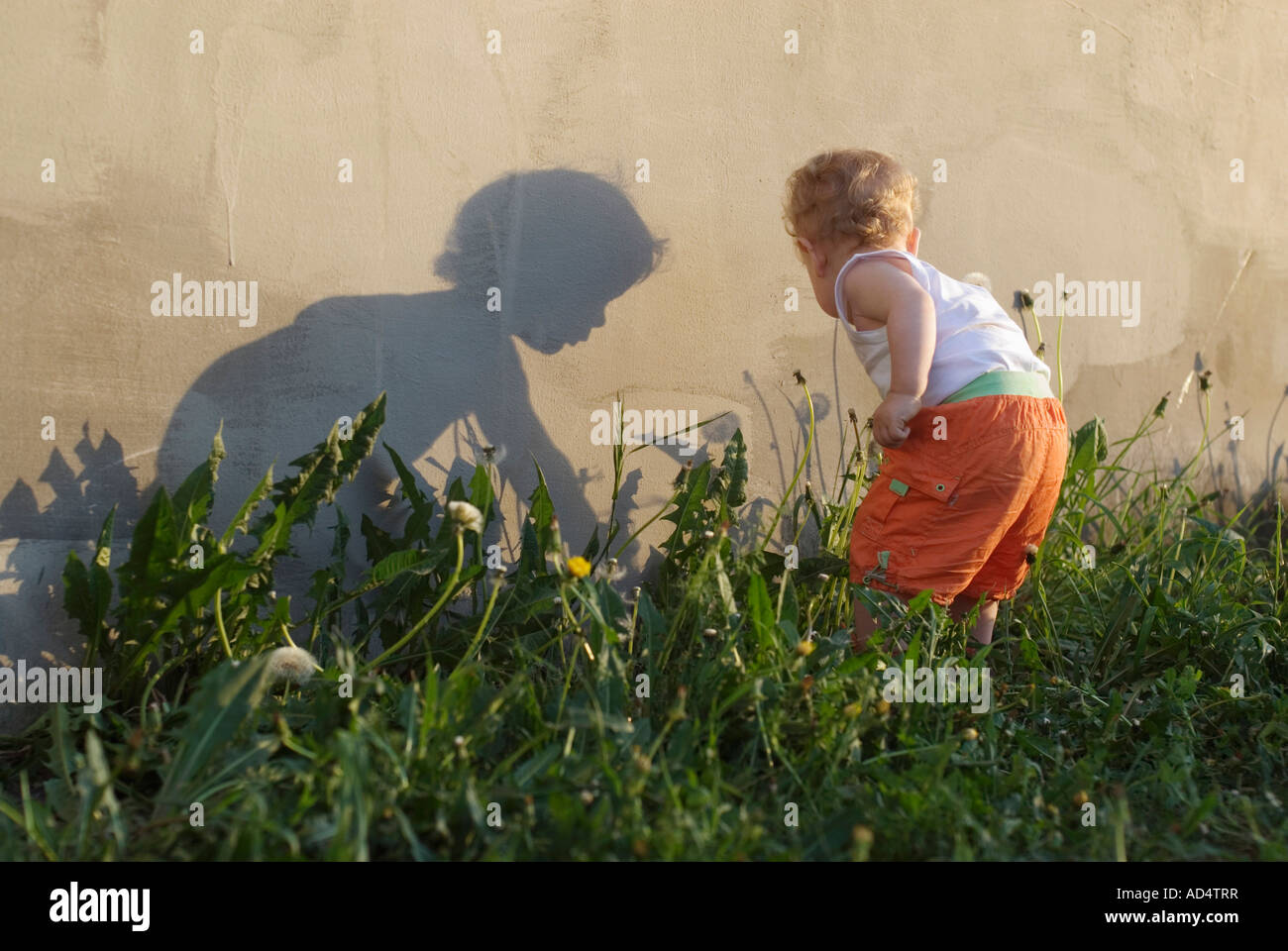 Boy picking flowers hi-res stock photography and images - Alamy
