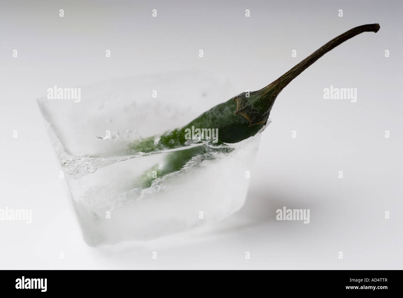 Image of a green chilli in a frozen block of ice Stock Photo - Alamy