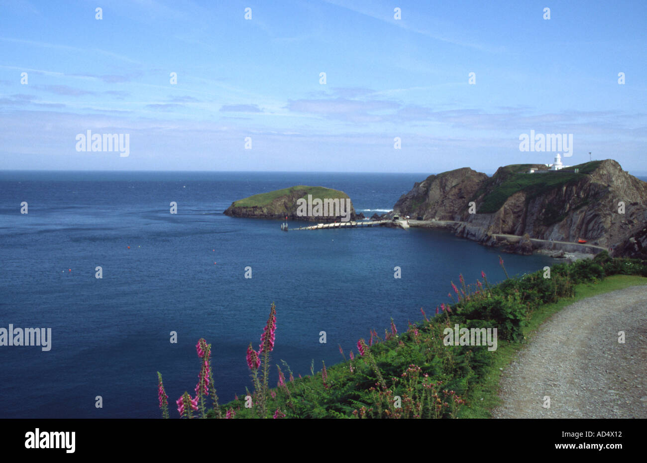 Road leading to the harbour on Lundy Island England Stock Photo - Alamy