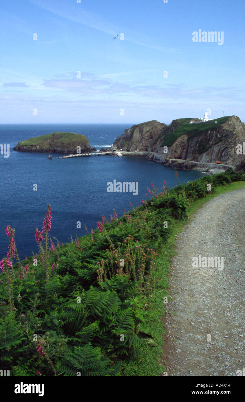 Road leading to the harbour on Lundy Island England Stock Photo - Alamy