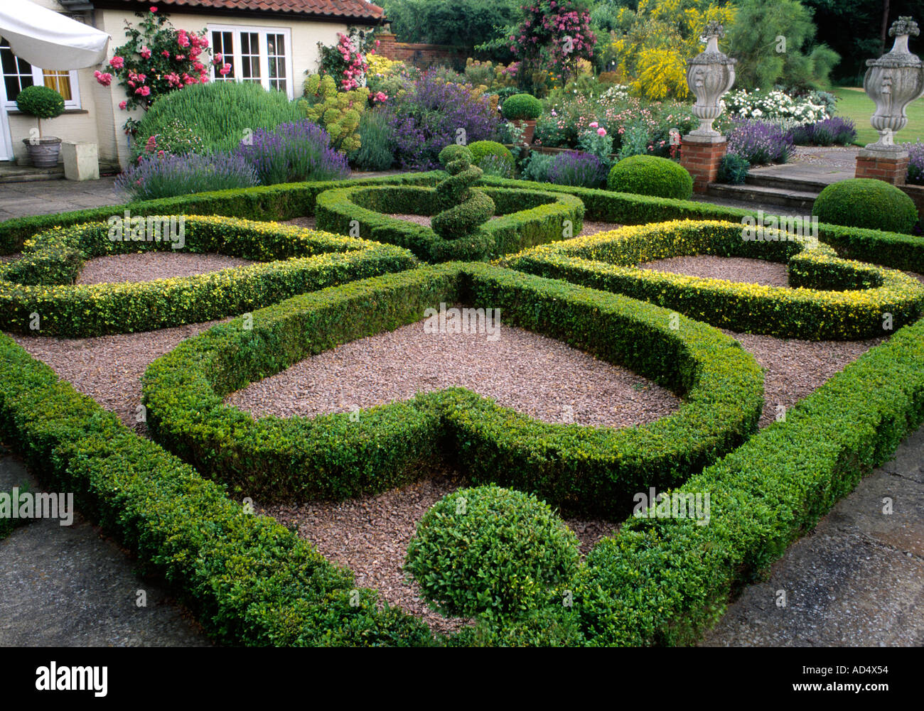 Box Hedges Norfolk England Stock Photos & Box Hedges Norfolk England ...