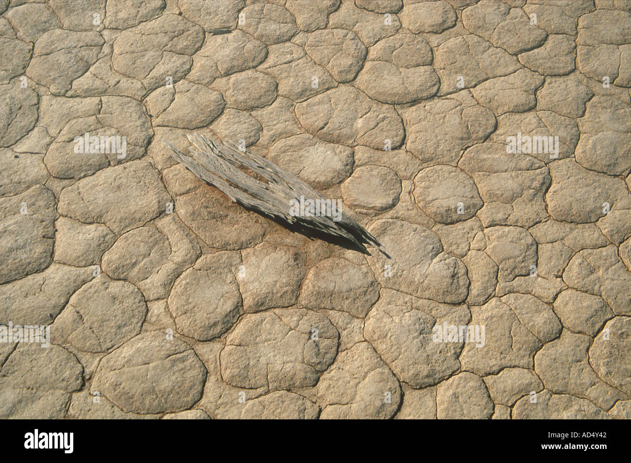 Bone dry riverbed hi-res stock photography and images - Alamy