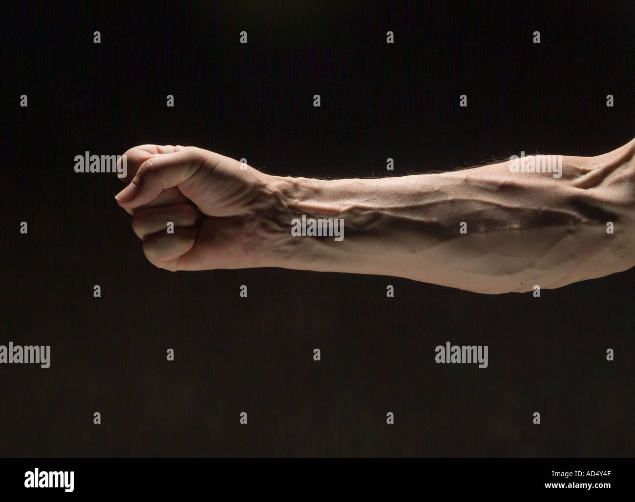 Arm veins clenched fist hi-res stock photography and images - Alamy