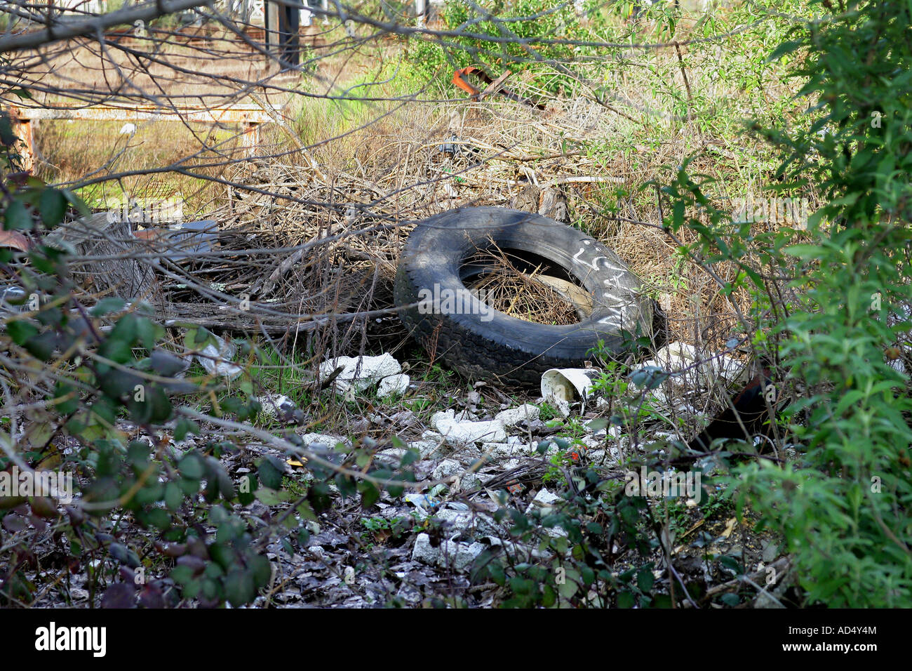 Garbage thrown on the ground Stock Photo - Alamy