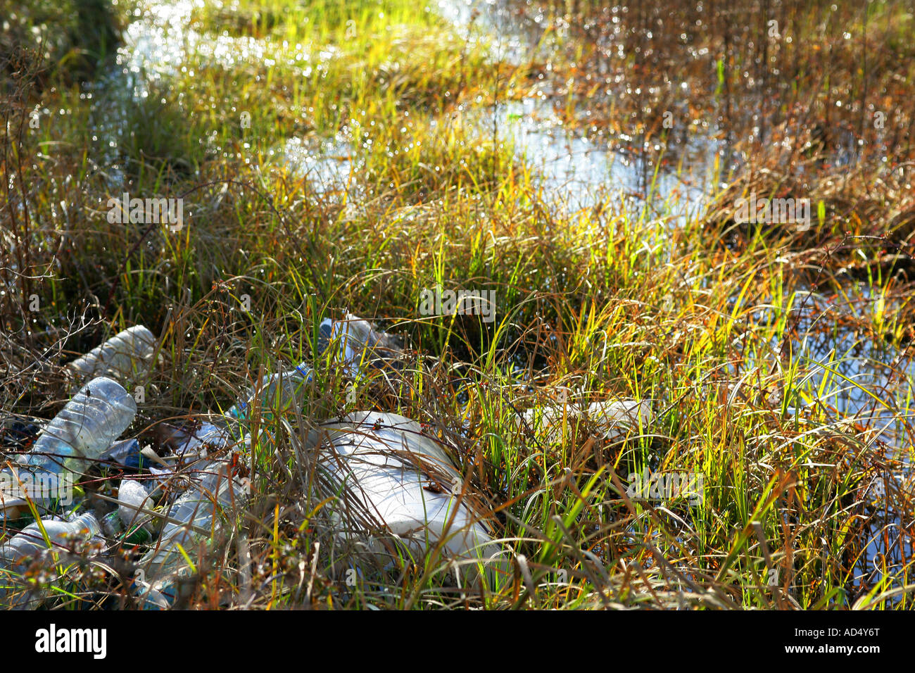 Garbage thrown on the ground Stock Photo - Alamy