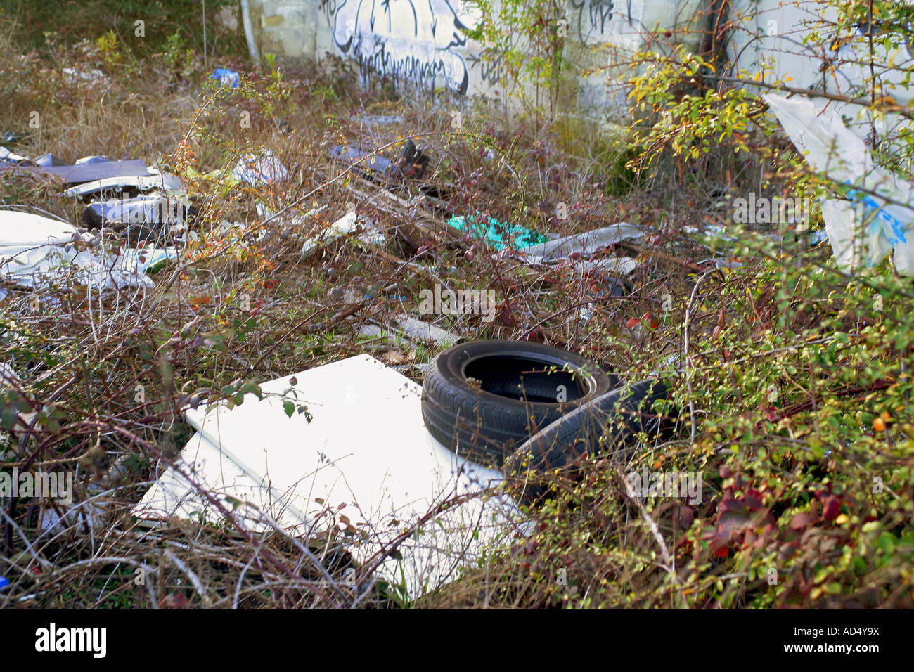 Garbage thrown on the ground Stock Photo - Alamy