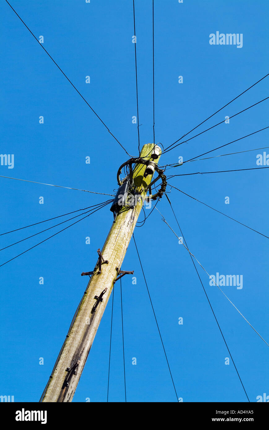 Telegraph pole and wires Stock Photo - Alamy