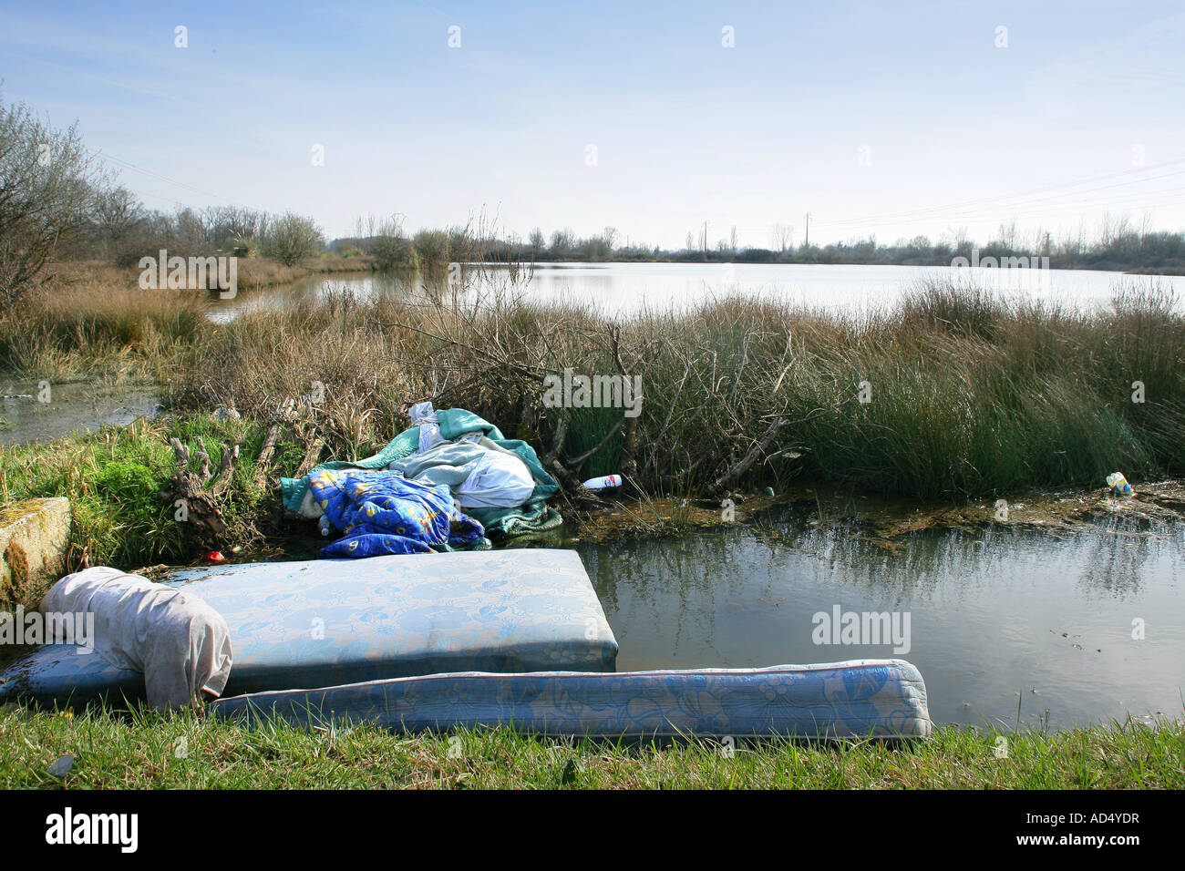 Trash in polluted water Stock Photo - Alamy