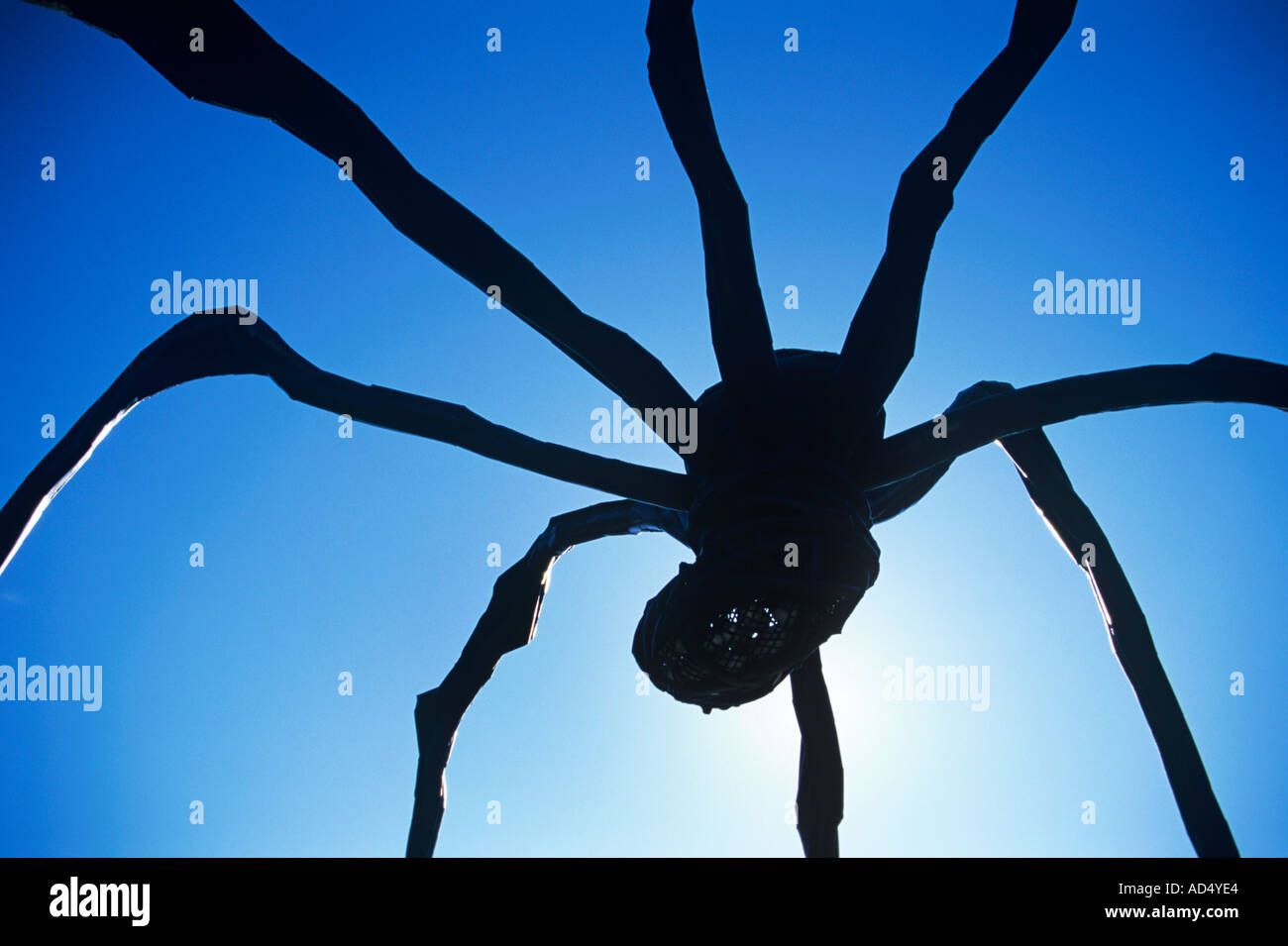Giant spider hi-res stock photography and images - Alamy