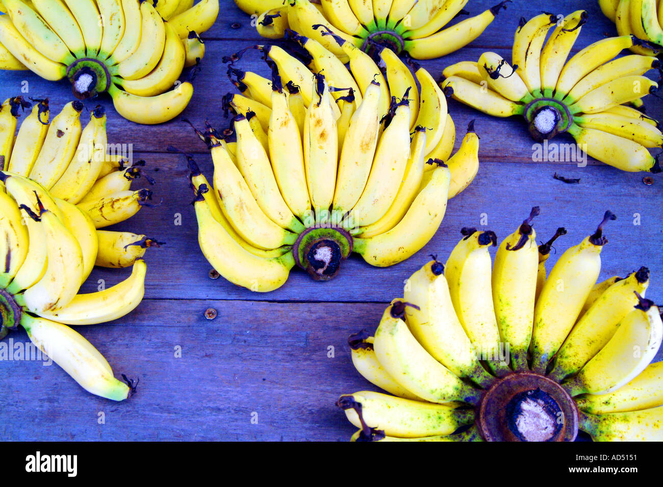 bananas bunches thailand asian asia plenty plentiful nourishment ...
