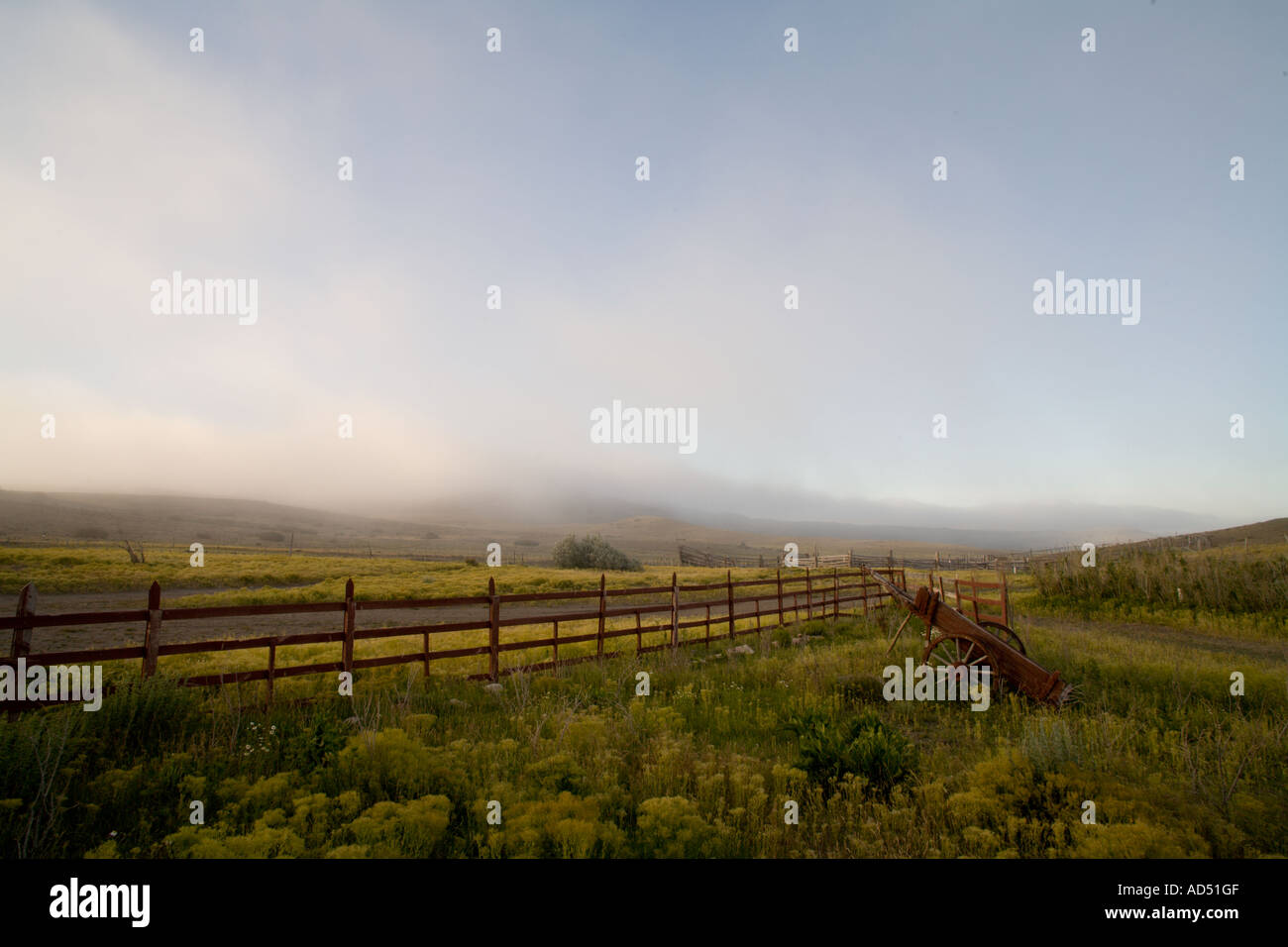 Menelik hi-res stock photography and images - Alamy