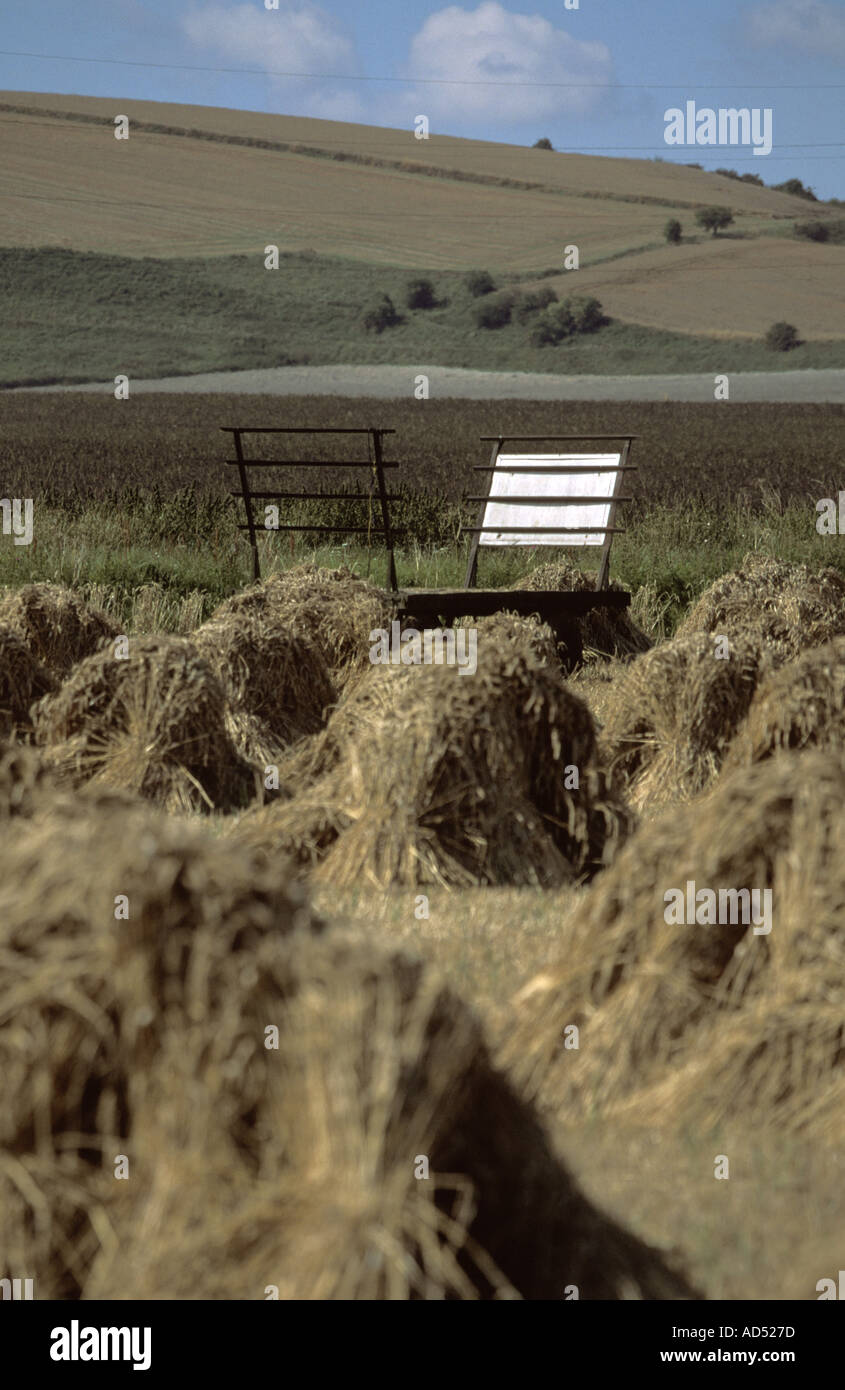 Wiltshire England Old Fashioned Hay Stacks Stock Photo - Alamy