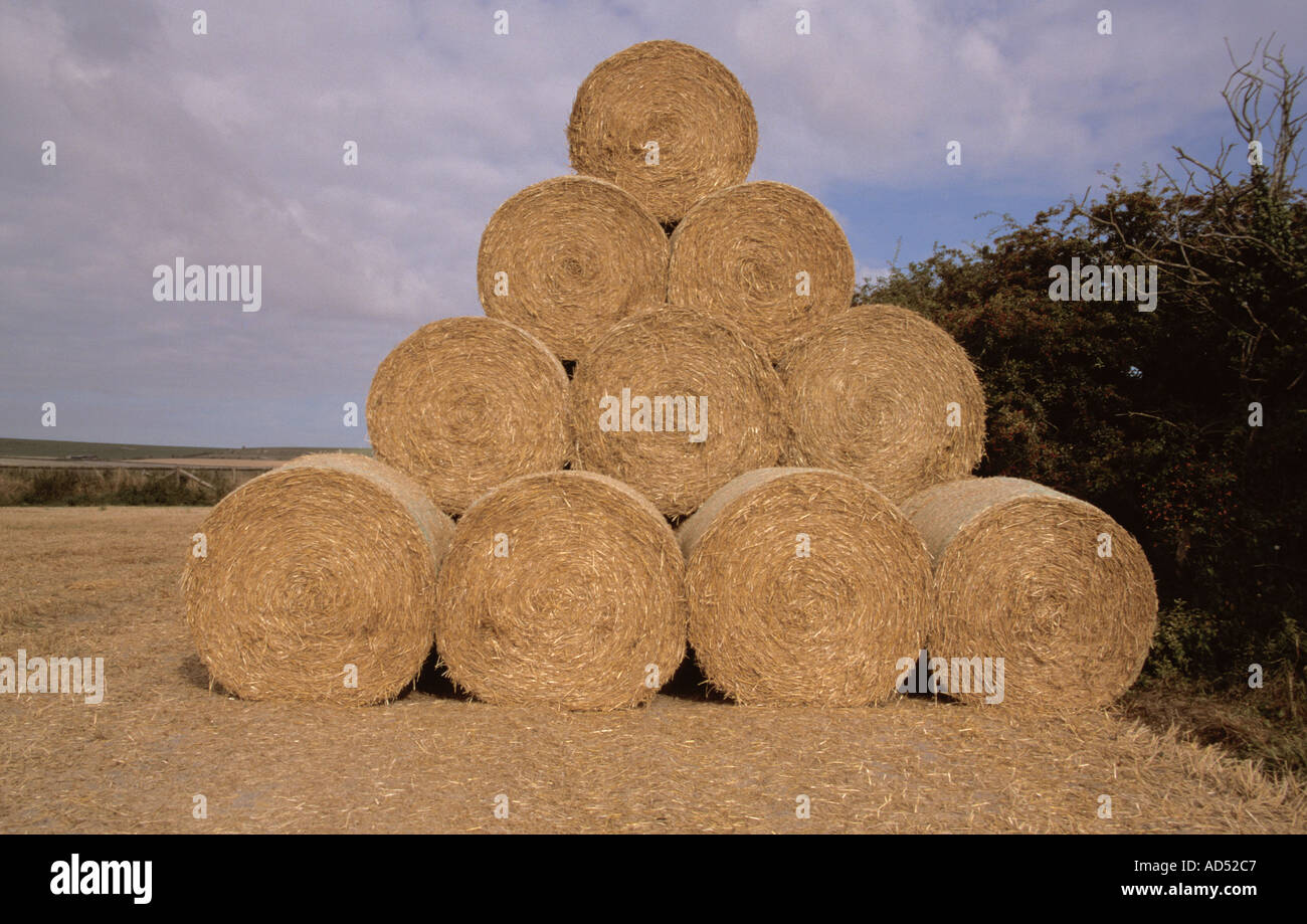 Bail hay straw agriculture hi-res stock photography and images - Alamy