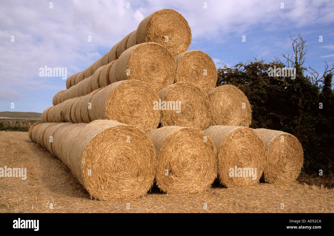 Bail hay straw agriculture hi-res stock photography and images - Alamy