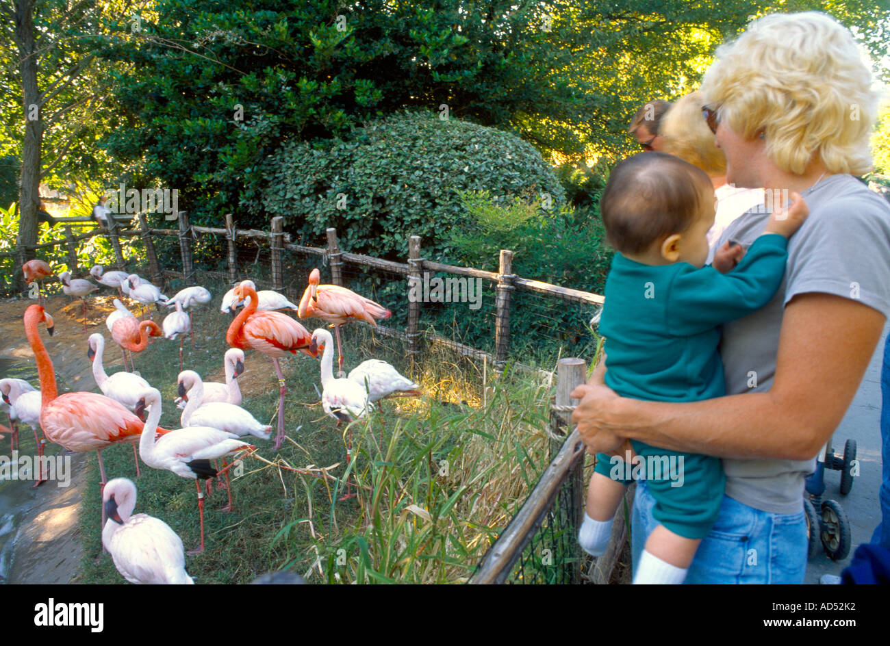Fort worth zoo hi-res stock photography and images - Alamy