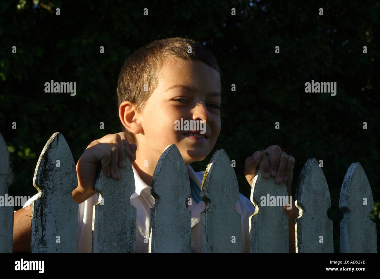 Little Boy looking over fence Stock Photo - Alamy