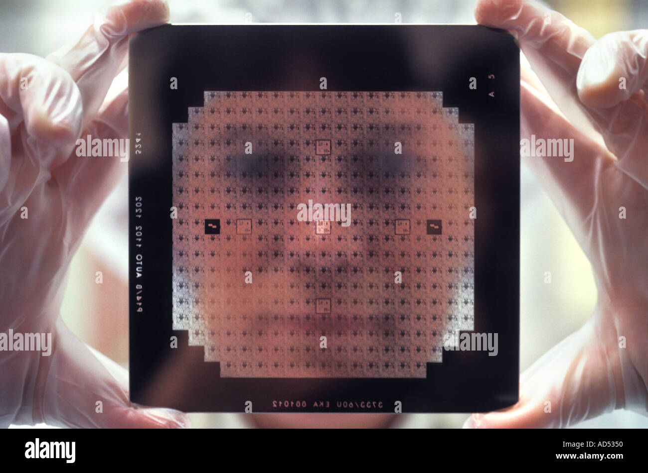 MICROCHIP WAFER INSPECTION ERICSSON COMPONENTS STOCKHOLM SWEDEN Stock ...