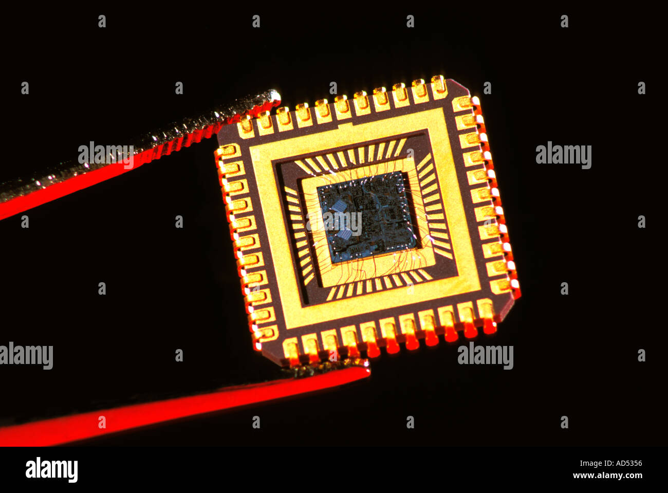 Microchip needle hi-res stock photography and images - Alamy