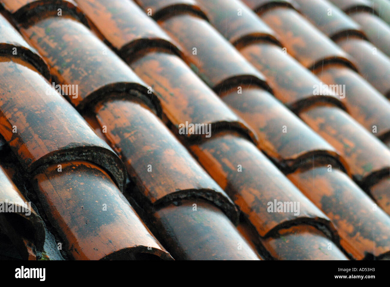 Wet Tiled Roof Stock Photo - Alamy