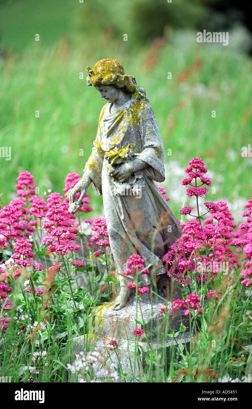 Statue surrounded by wild flowers in a graveyard Stock Photo - Alamy