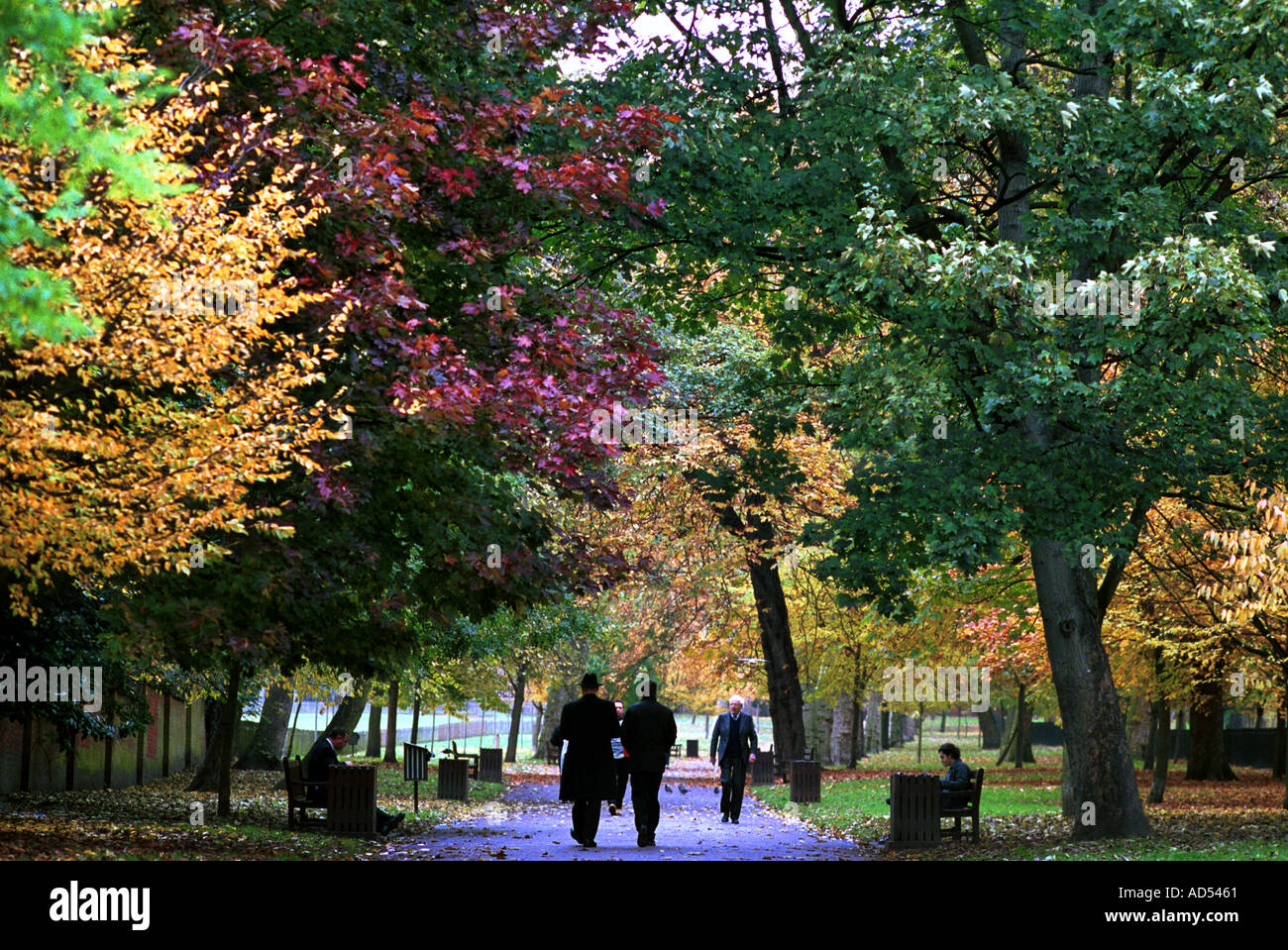 AUTUMN IN LONDON ENGLAND HOLLAND PARK IN WEST LONDON Stock Photo - Alamy