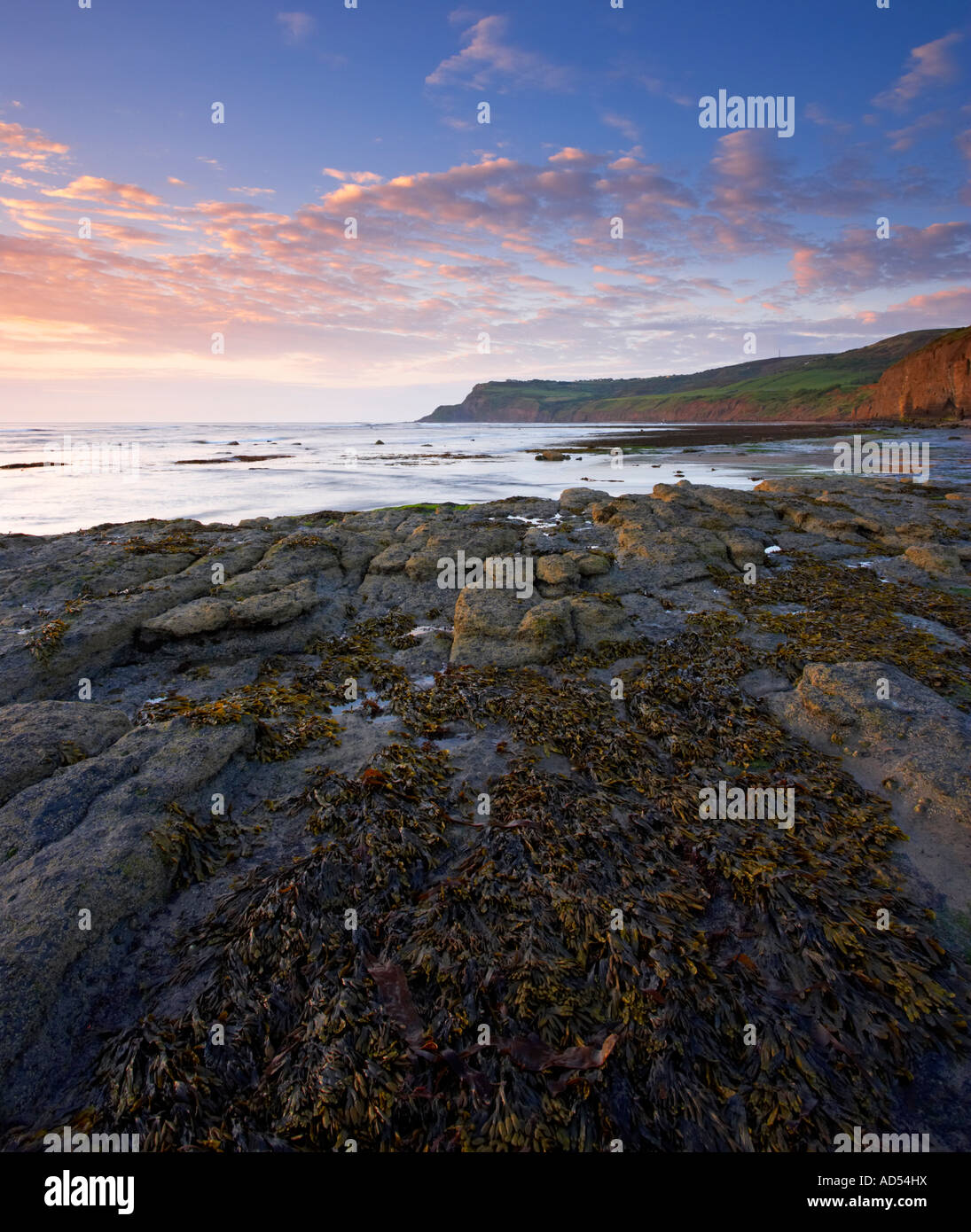 A summer morning at Boggle Hole looking towards Ravenscar on the North ...