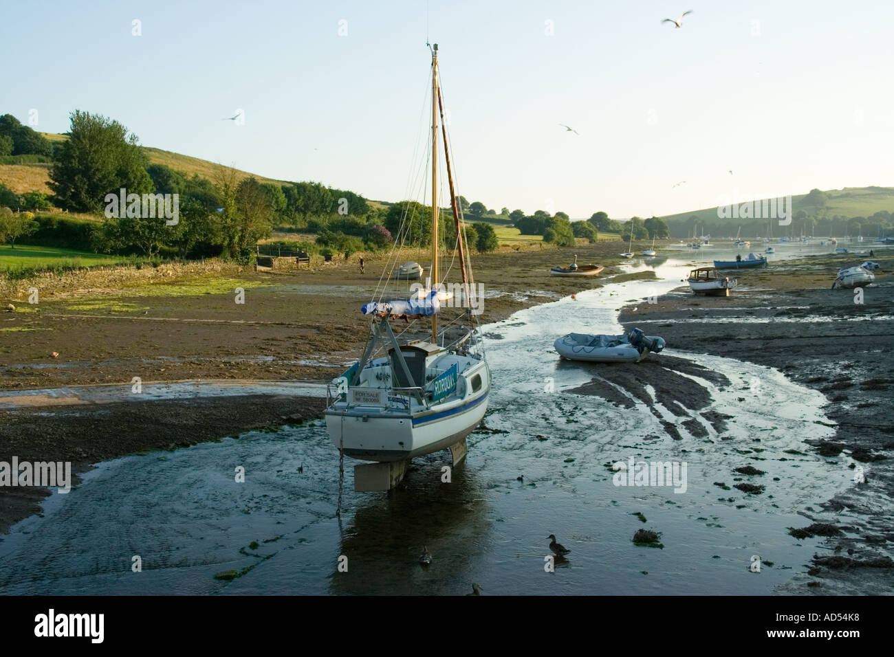 Frogmore South Devon UK Boats at low tide in the Salcombe estuary Stock ...