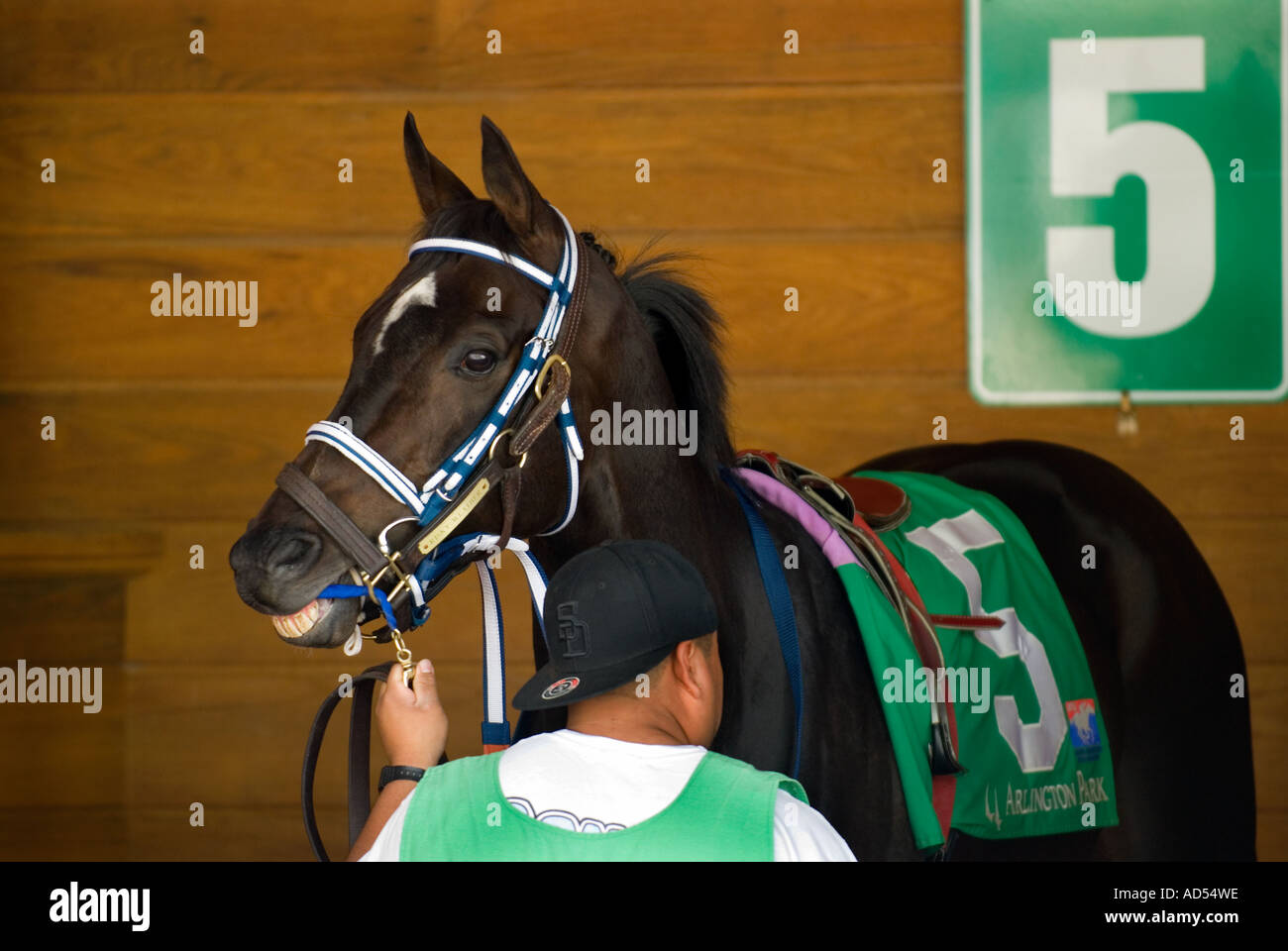 Race horse number five hi-res stock photography and images - Alamy