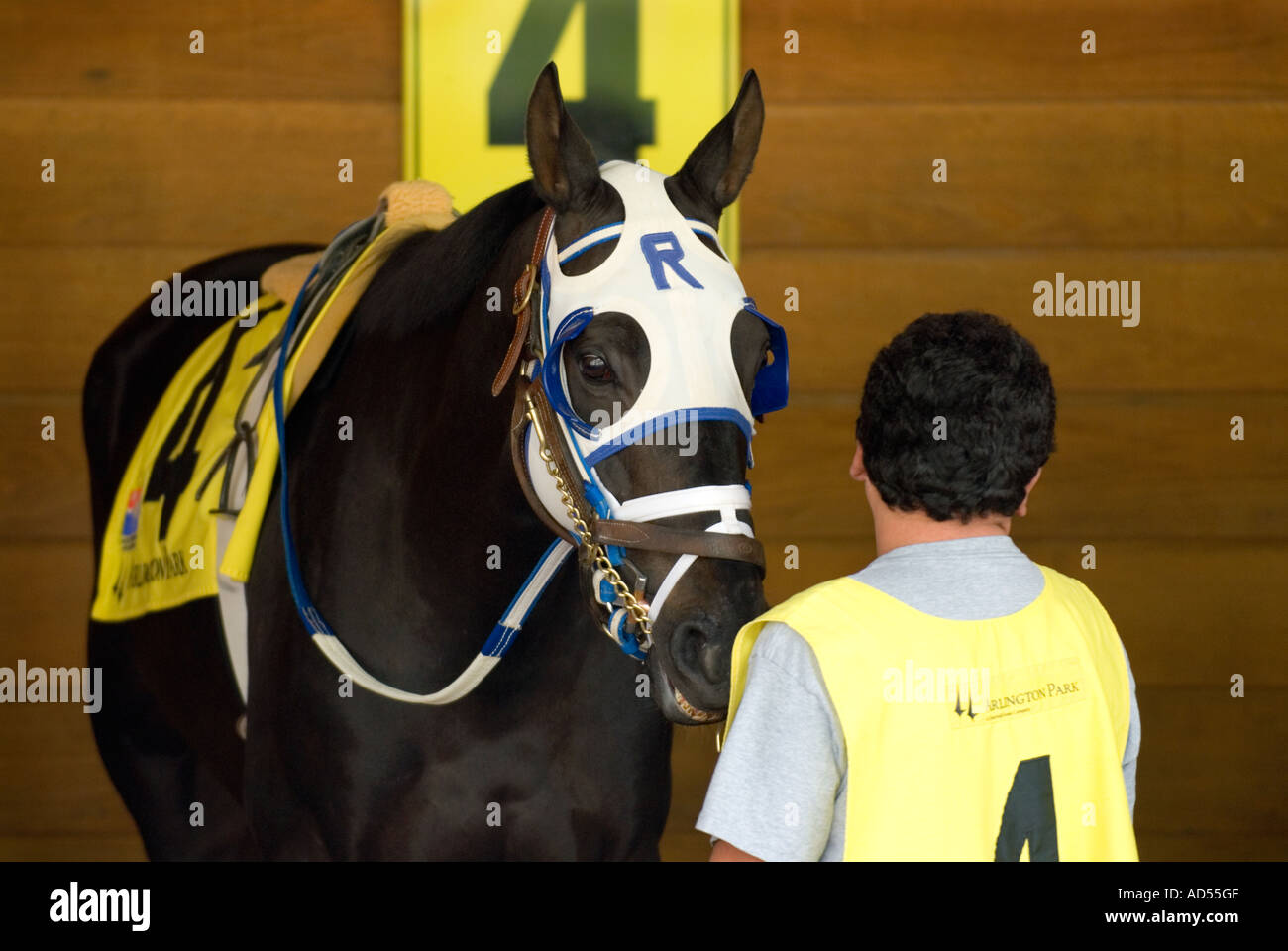 Horse Racing Paddock Stall Stock Photo - Alamy