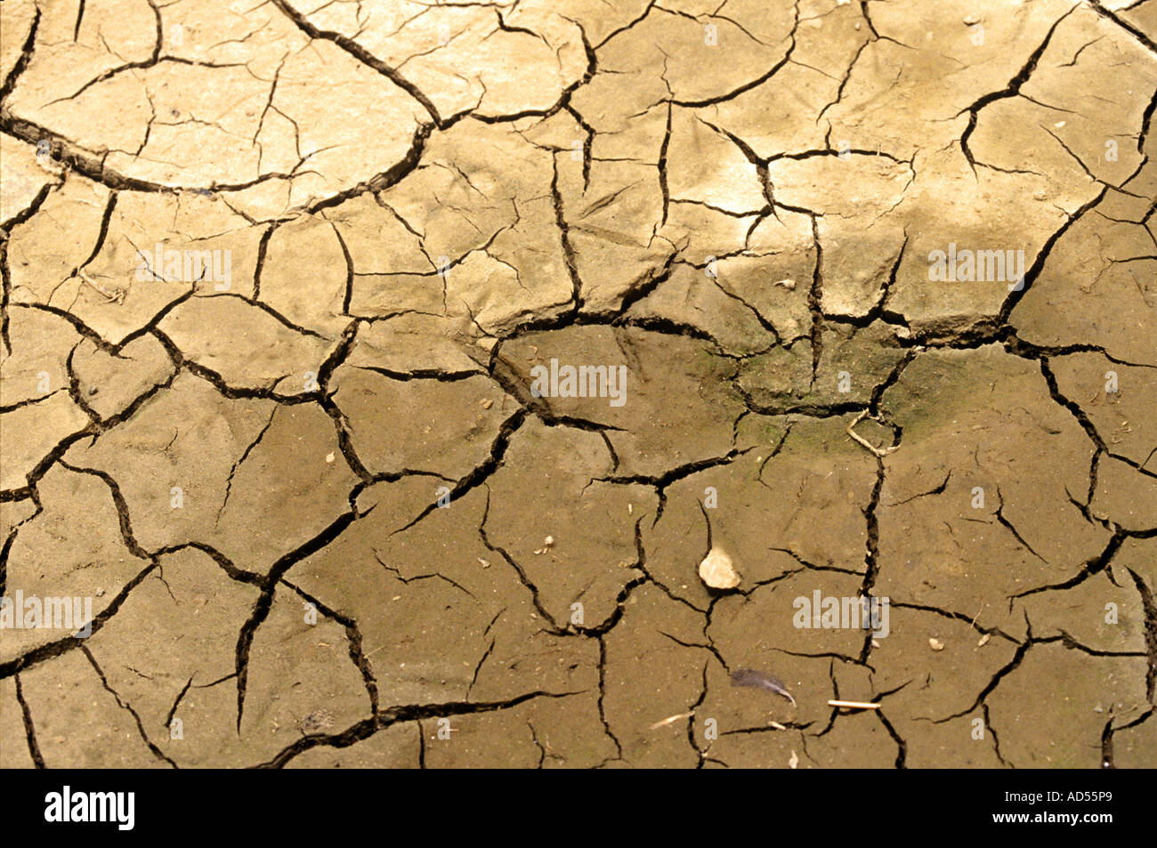 Dried up Lake Stock Photo - Alamy