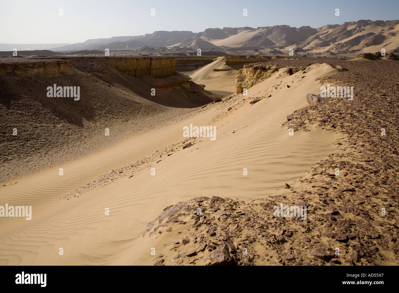 Looking across sandy wadi bed to escarpment. Dakhla Oasis. Egypt Stock ...