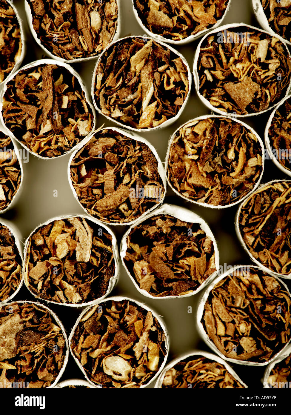 Rolled tobacco for preparing cigarettes - frontal view Stock Photo - Alamy