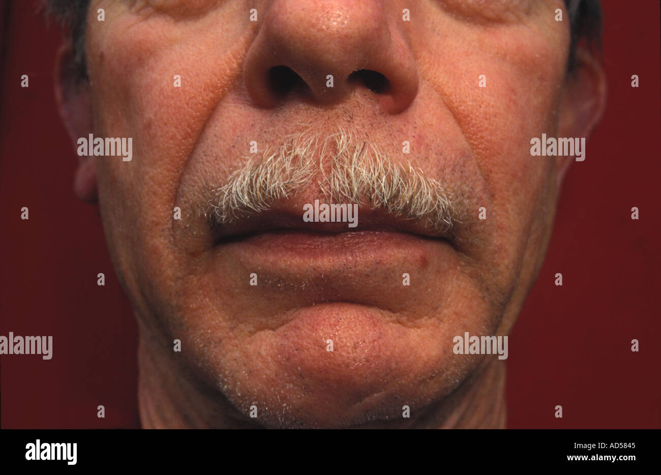 Grey moustache hi-res stock photography and images - Alamy