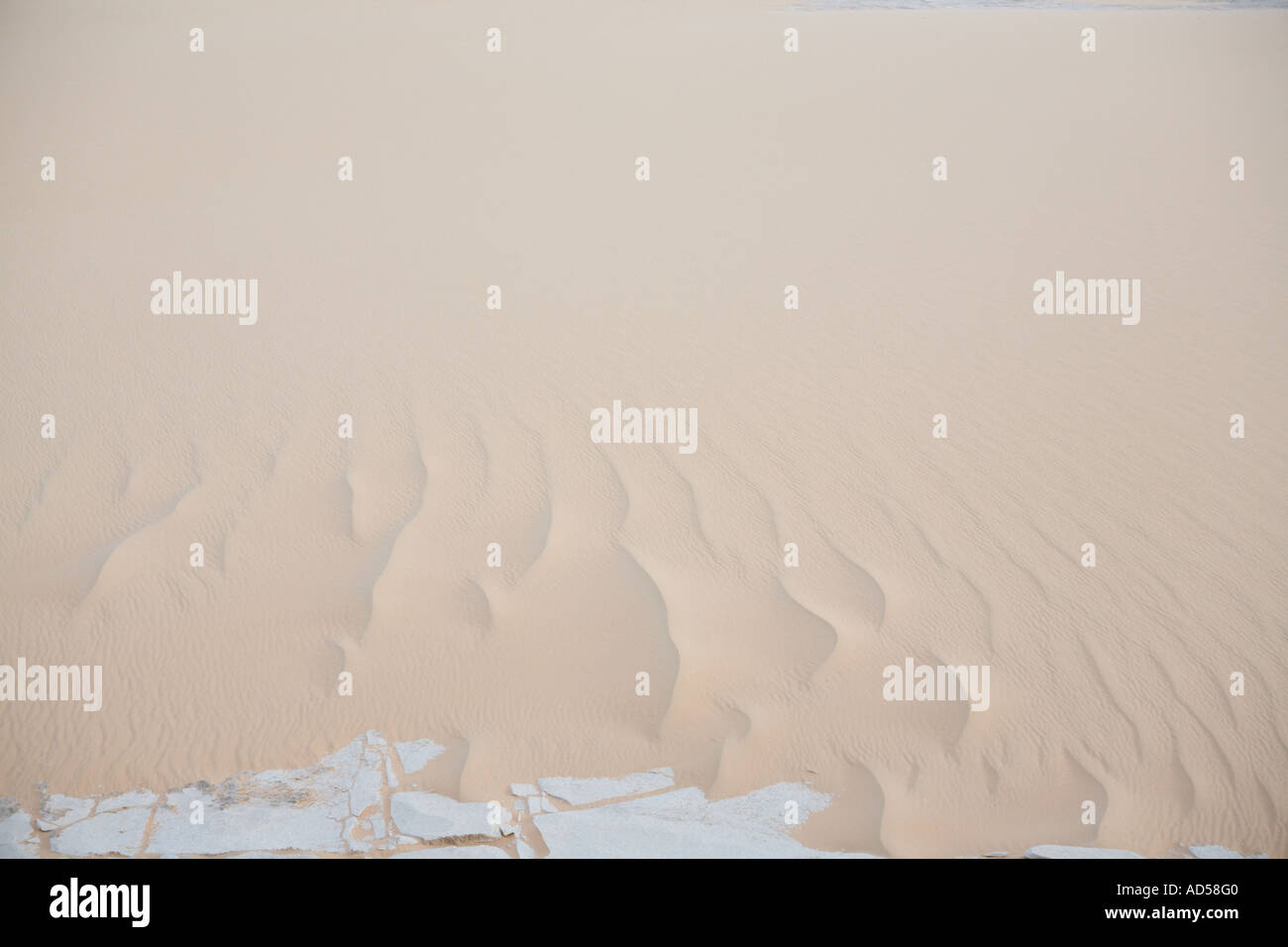 Close up of sand texture, Sahara Desert en route to Gilf Kebir, Egypt ...
